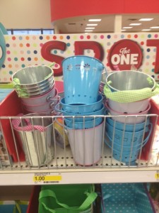Target Dollar Spot Gets You Organized - Time To Organize Blog
